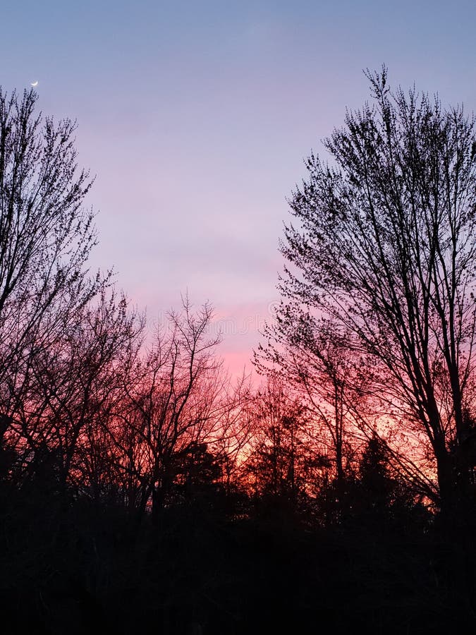 Pink Sunset Stock Photos - Download 111,800 Royalty Free Photos