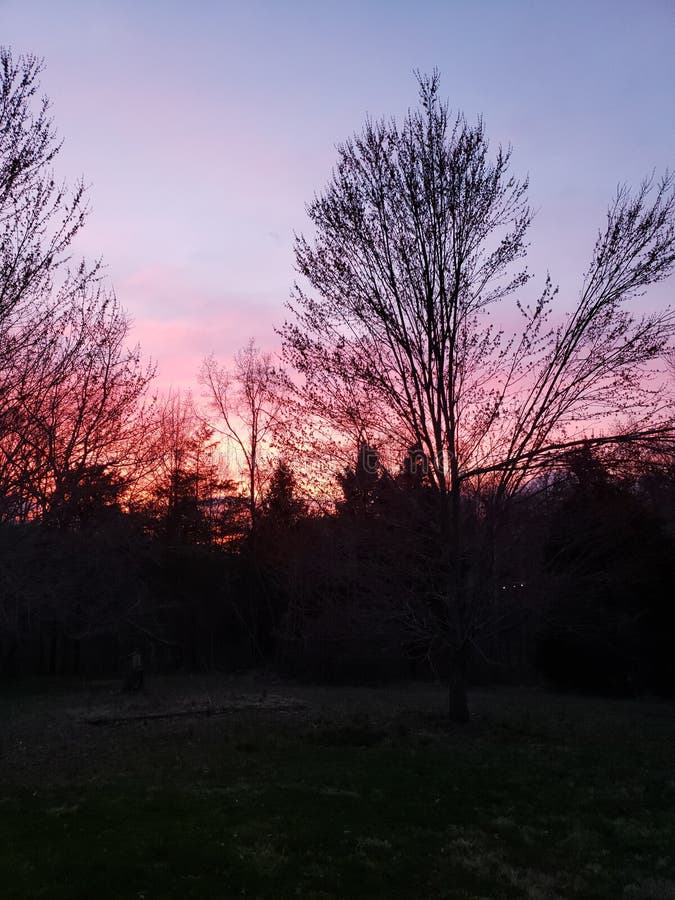 Pink sunset stock image. Image of sunset, country, trees - 153761323