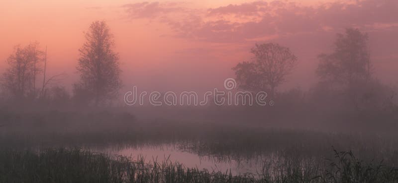 Pink sunset under lake stock photo. Image of pond, sunlight - 77579034