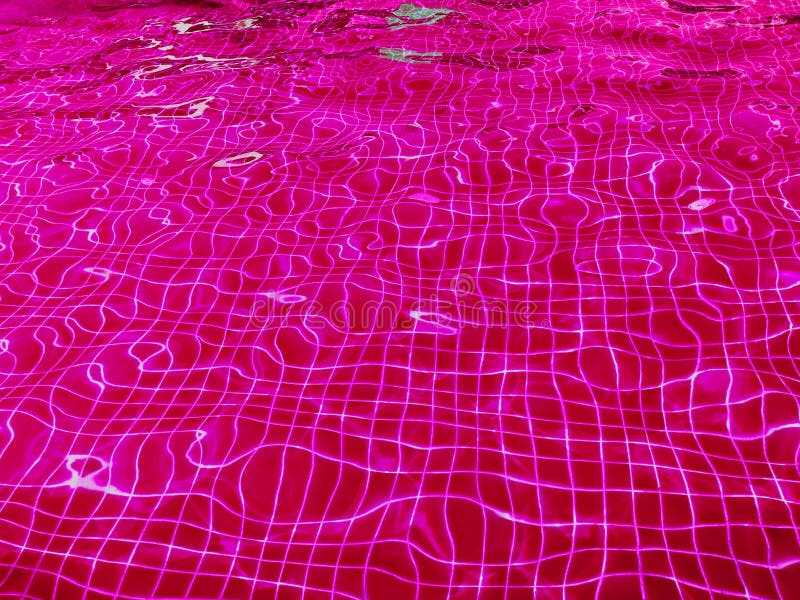 Pink Swimming Pool Water with Tiles and Palm Tree Shadow Stock Photo ...