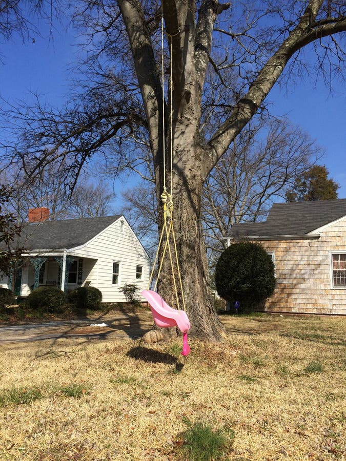 Pink swing stock photo. Image of hanging, pink, tree - 50788178