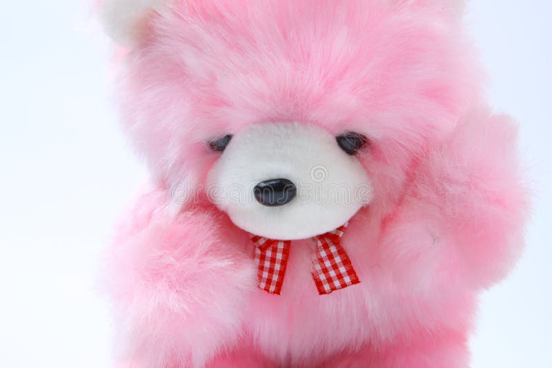 Pink teddy bear stock image. Image of lovable, soft, cuddle - 6099291