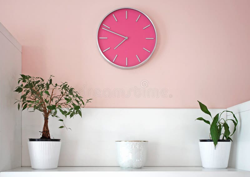 Pink Time Picture. Image: 4949087