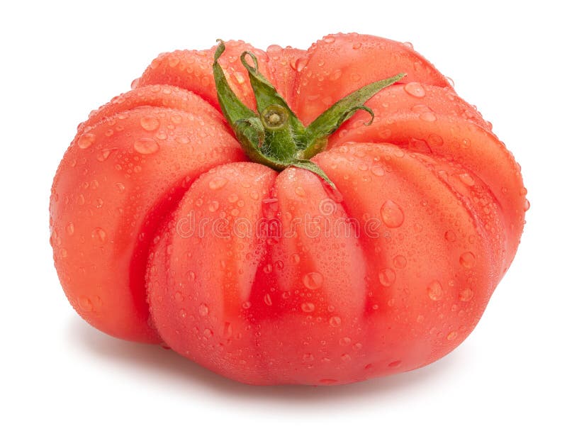 Pink tomato path isolated stock image. Image of fresh - 239833305