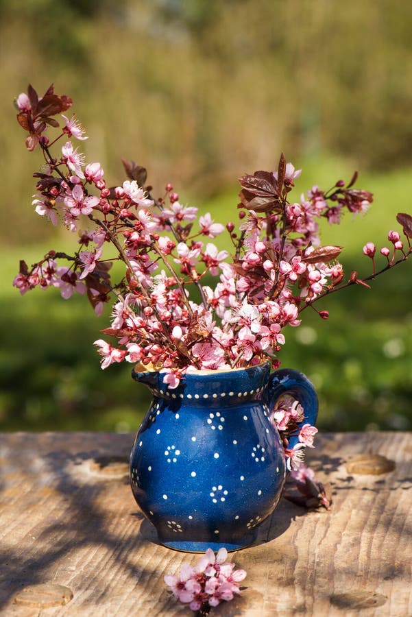 Pink Tree Blossoms in a Milk Jug Stock Image - Image of blossom, living ...