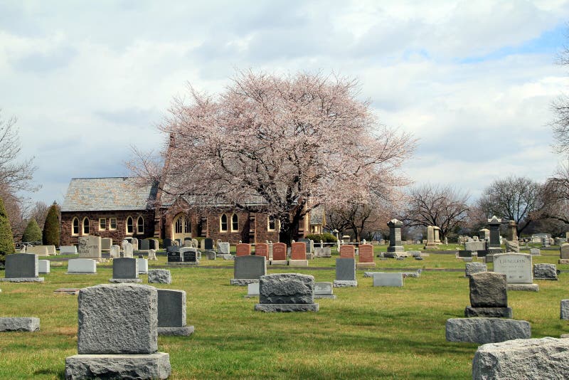 Pink Tree in Cemetery editorial photography. Image of clouds - 90007972