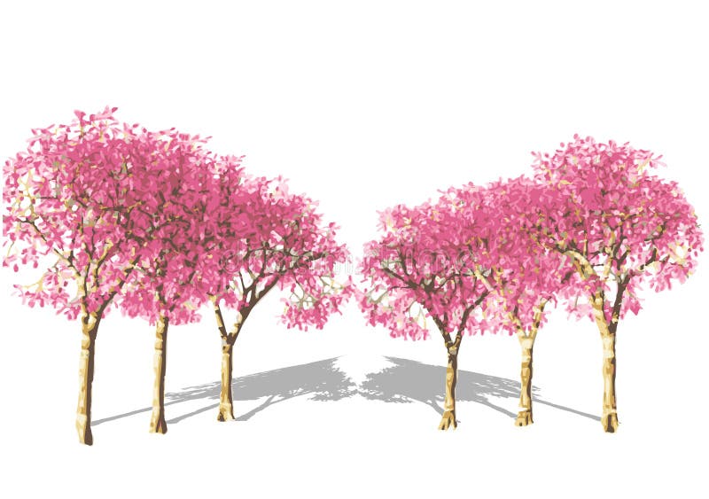 Pink tree stock vector. Illustration of brown, ornate - 19950940