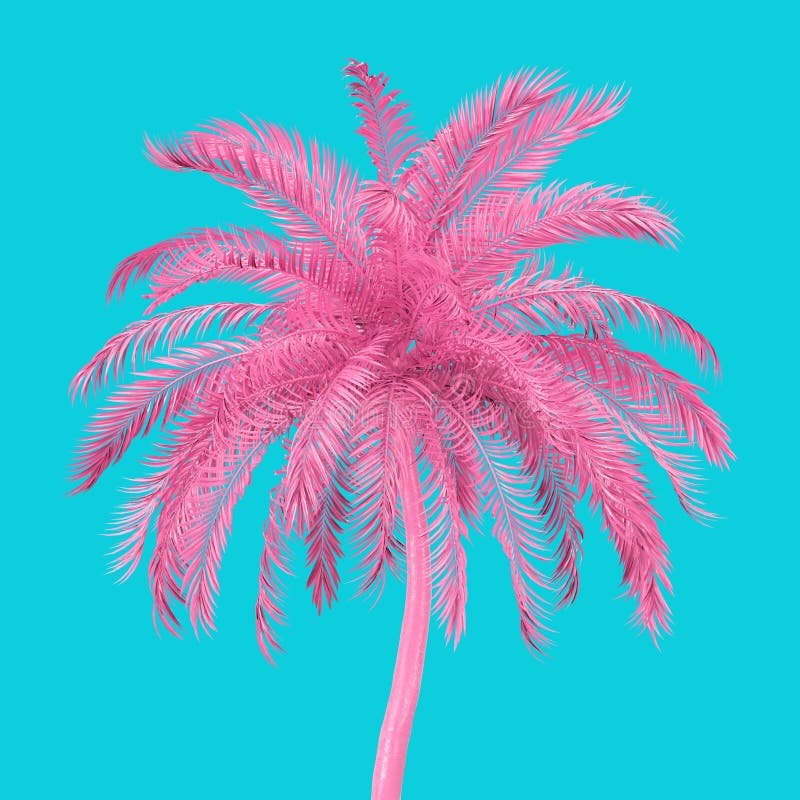3d Pink Palm Tree Stock Illustrations – 1,217 3d Pink Palm Tree Stock ...