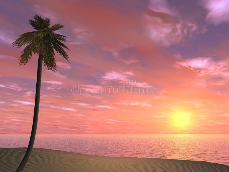 Pink Sunset Cartoon Flat Design Stock Illustration - Illustration of ...