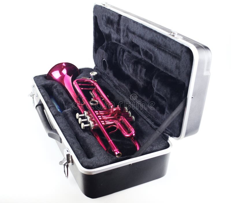 Pink Trumpet in the Box on White Background Stock Photo - Image of pink ...