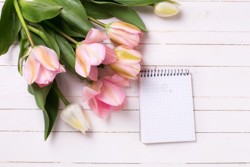 Pink Tulips and Empty Open Notebook on White Painted Wooden Ba Stock ...