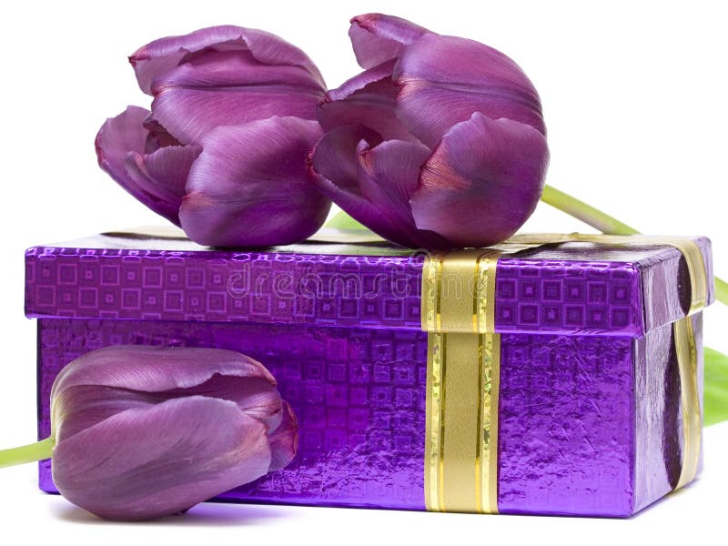 Pink tulips and gift box stock photo. Image of leaf, flower - 4278160