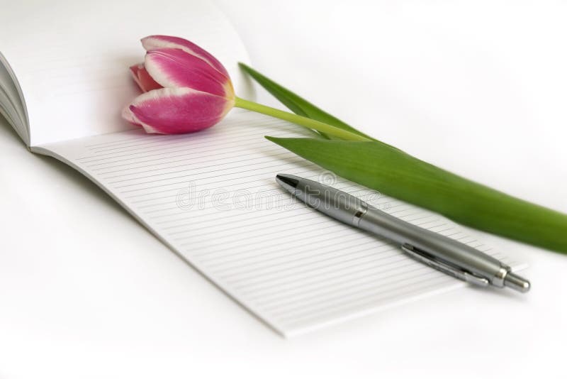 Pink tulips, pen, note stock image. Image of nature, tulip - 4649755
