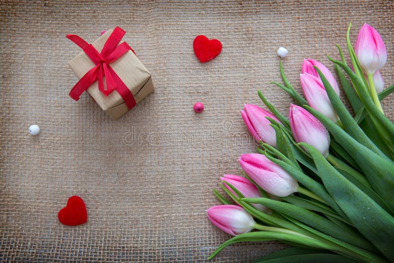 Pink Tulips and Present Isolated on a Cloth Background. Stock Photo ...