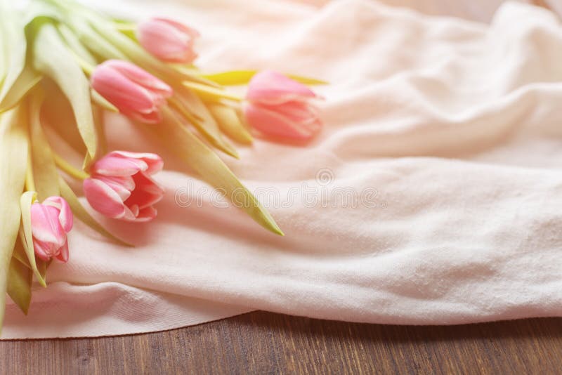 Pink Tulips on White Fabric, Lit by the Rays of the Setting Sun Stock ...
