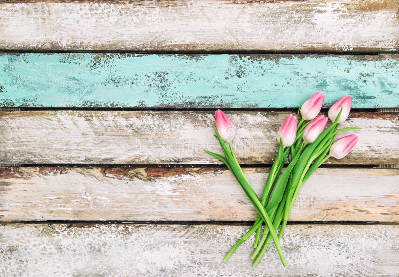Pink Tulips Wooden Background Spring Flowers Stock Image - Image of ...