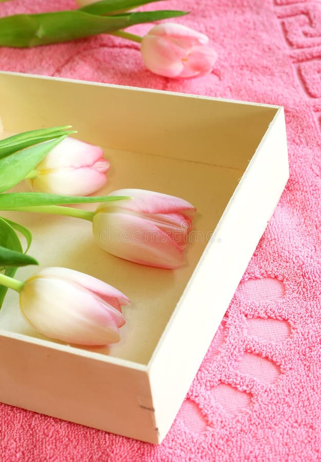 Pink Tulips in Wooden Box on Towel Stock Photo - Image of wood, pink ...