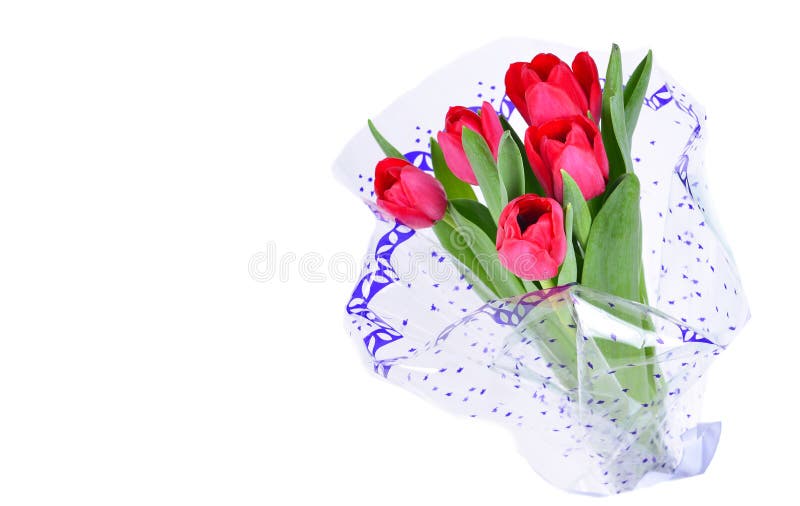 Pink Tulips in Wrapper Paper Stock Photo - Image of bouquet, macro ...