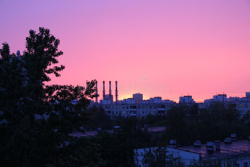 Pink Stunning Sunset, Urban Areas, Shade Trees, Pipe Plants and ...