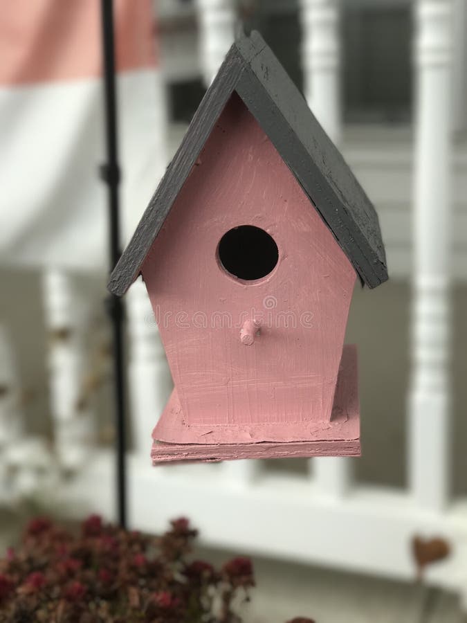 Pink Vacancy stock image. Image of house, birdhouse, bird - 81809757