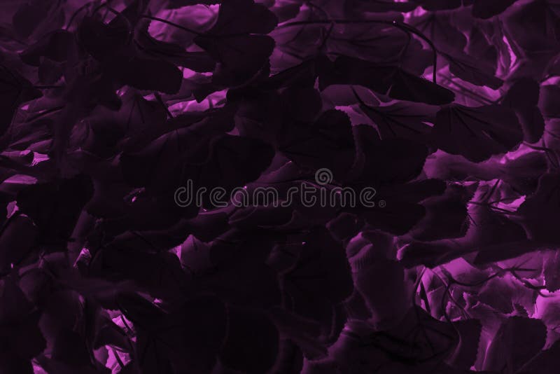 Pink and Violet Abstract Dark Creative Background Stock Image - Image ...