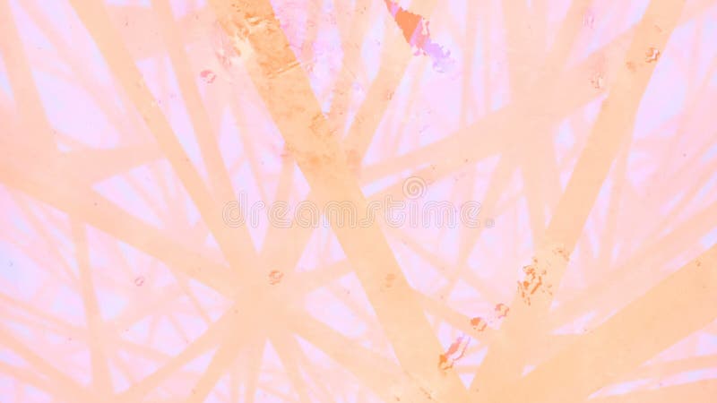 Pink Volumetric Light Passes through a Moving Structure 3d Render Loop ...