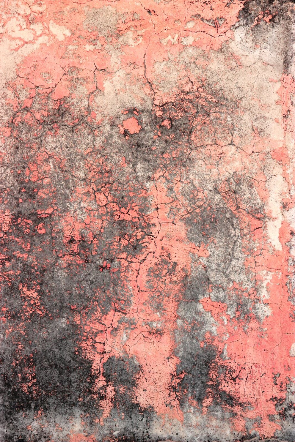 523 Old Rotten Plaster Wall Texture Stock Photos - Free & Royalty-Free ...