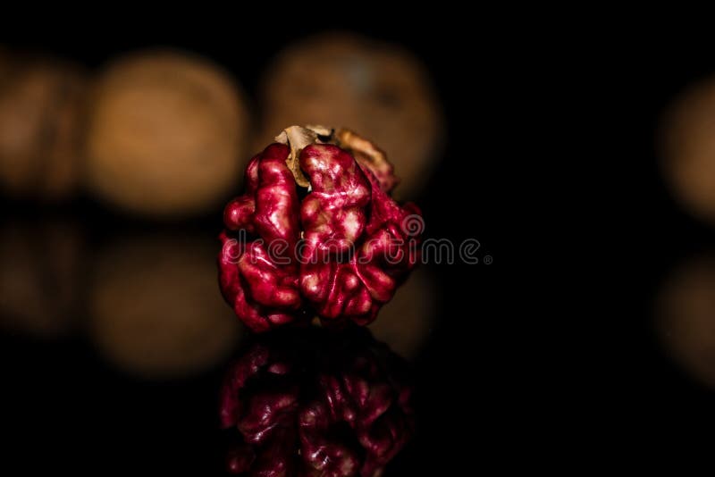 Pink Walnut Kernel on a Dark Reflective Table. Stock Photo - Image of ...