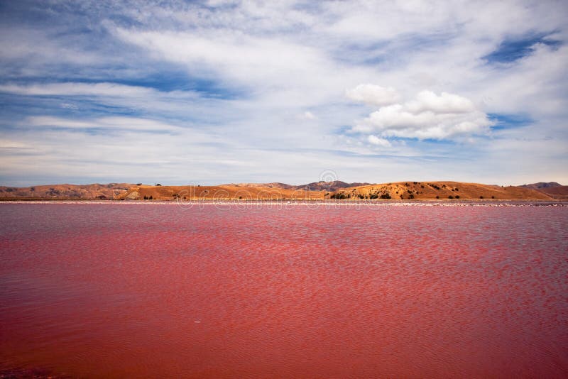 Pink water stock photo. Image of nelson, saltworks, pink - 14544380