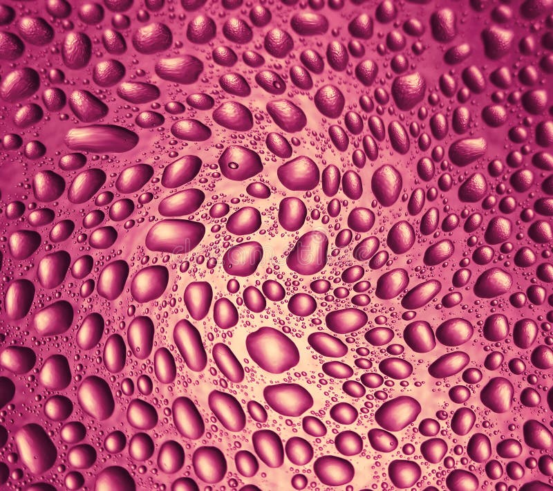 Pink Water Drops stock photo. Image of close, crystal - 11814618
