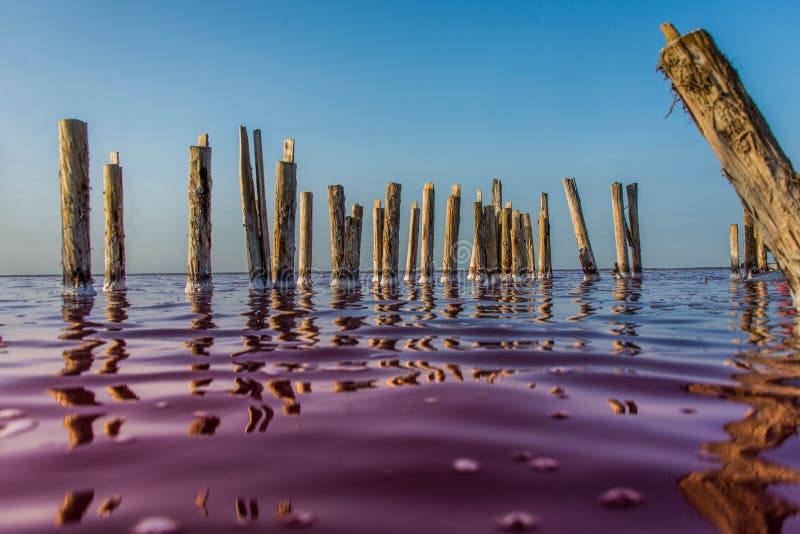 Pink water stock image. Image of water, color, soltlake - 214179621