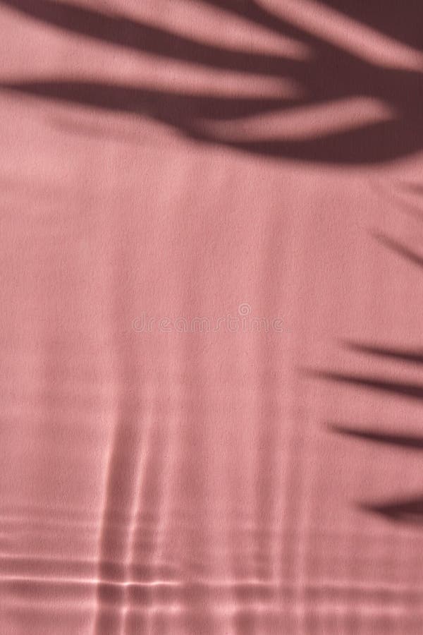 Pink Water Texture Background on the Noon Sunlight with Leaves Shadow ...