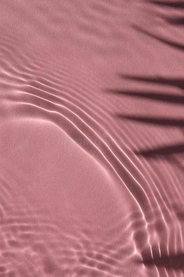 Pink Water Texture Background on the Noon Sunlight Withl Leaves Shadow ...