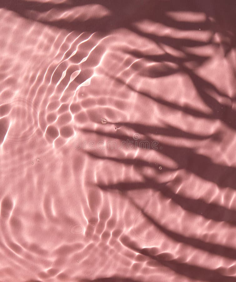 Pink Water Texture Background on the Sunlight with Tropical Leaves ...