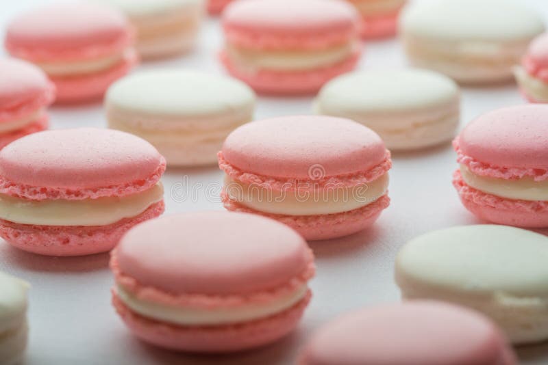 Pink and white macaroon. stock image. Image of cake, closeup - 89947847