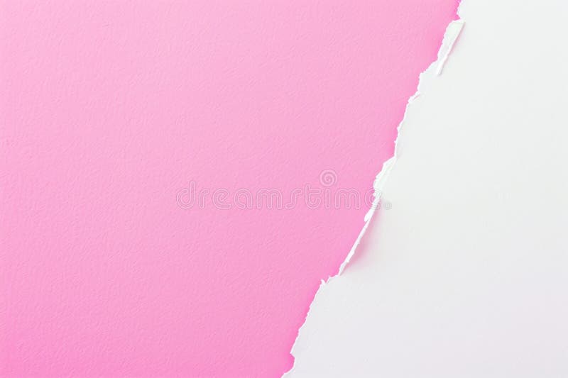 Pink and White Paper Texture Background with Torn Edge, Banner for Text ...