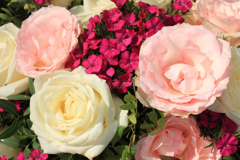 Pink and white roses stock photo. Image of green, centerpiece - 221606882