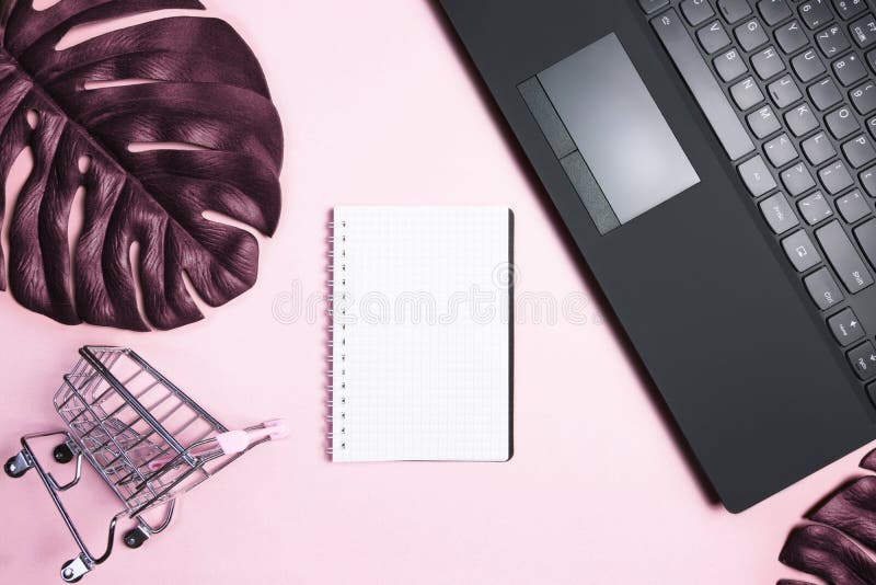 Pink Workspace in Teenage Room Stock Image - Image of living, painted ...