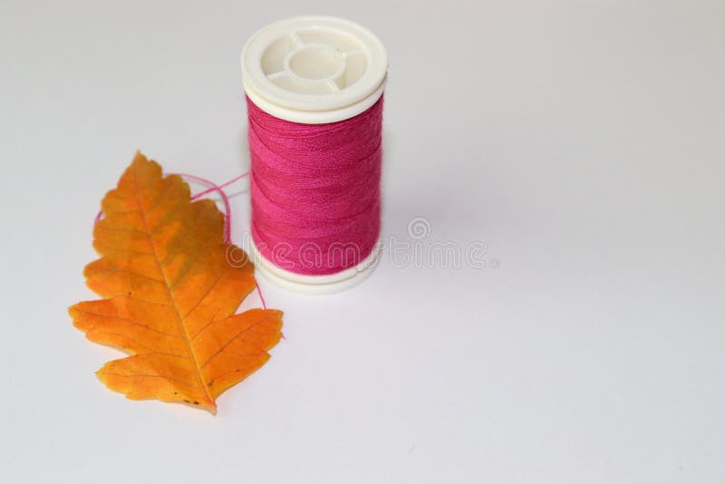 A Pink Wound Spool of Sewing Thread, Yellow Leaf Stock Photo - Image of ...