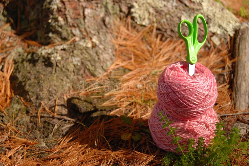 Pink Yarn and Green Scissors on Forest Floor Stock Photo - Image of ...