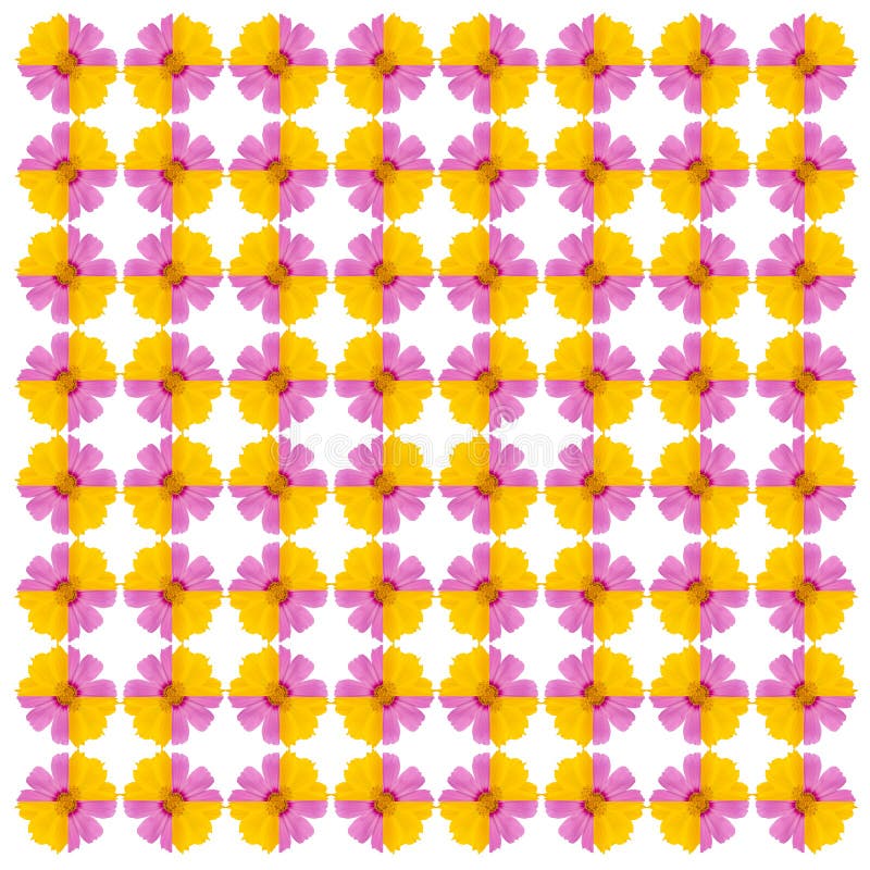 Yellow Cosmos Flower and Leaf Drawing Illustration with Line Art on ...