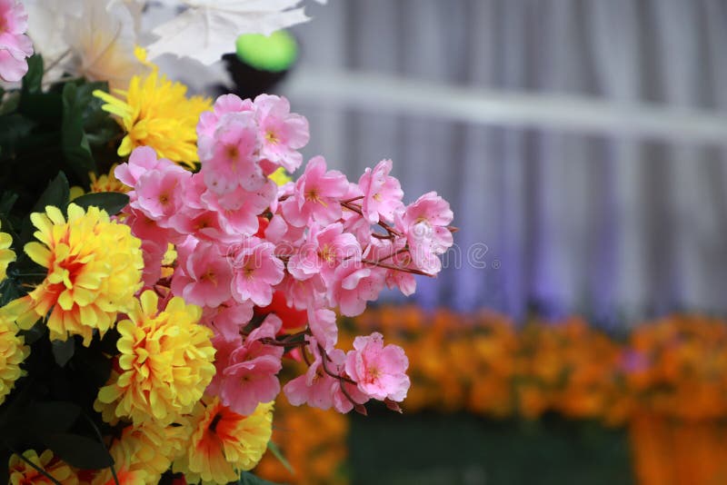 Pink and Yellow Flowers Decor in the Hall Stock Photo - Image of yellow ...