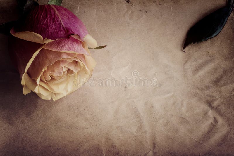Red Rose on Slate with a Heart Stock Photo - Image of love, flower ...
