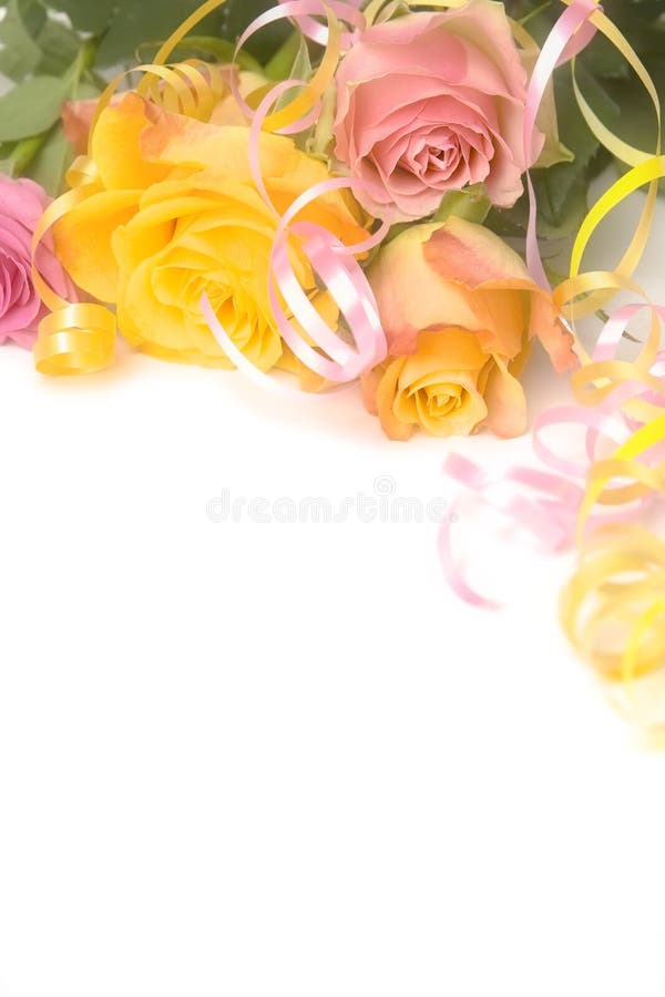 Pink and yellow roses stock photo. Image of roses, blurry - 8691046