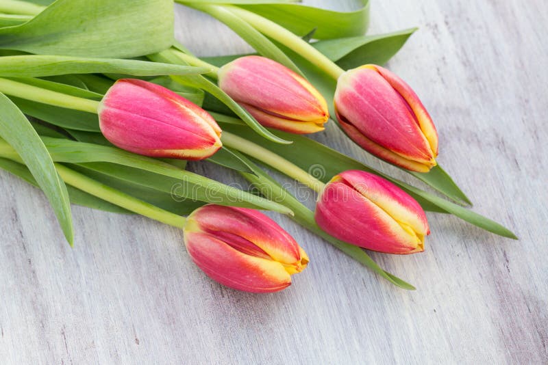 Pink and Yellow Spring Tulips on Wood Table Stock Image - Image of ...