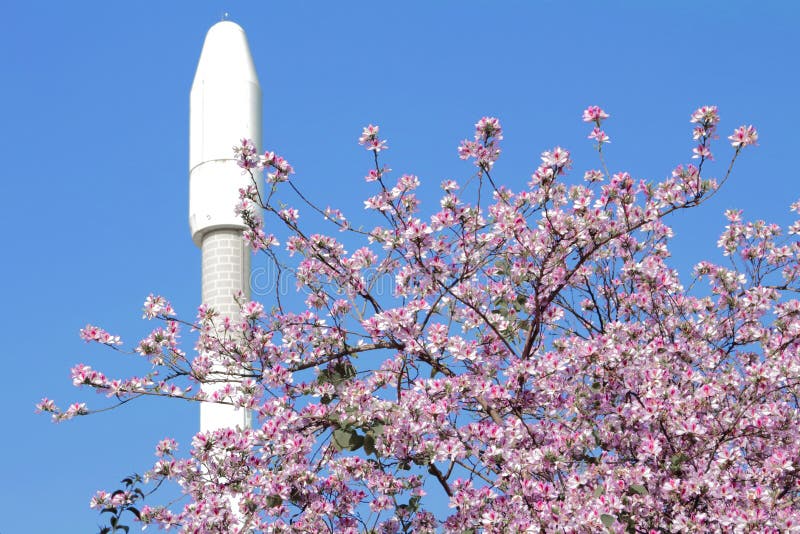 Pinky Rakieta Obraz. Obraz: 87312135