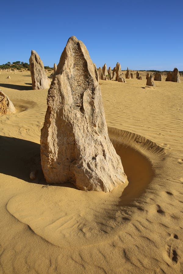 Pinnacles Desert stock photo. Image of erosion, landscape - 36876816