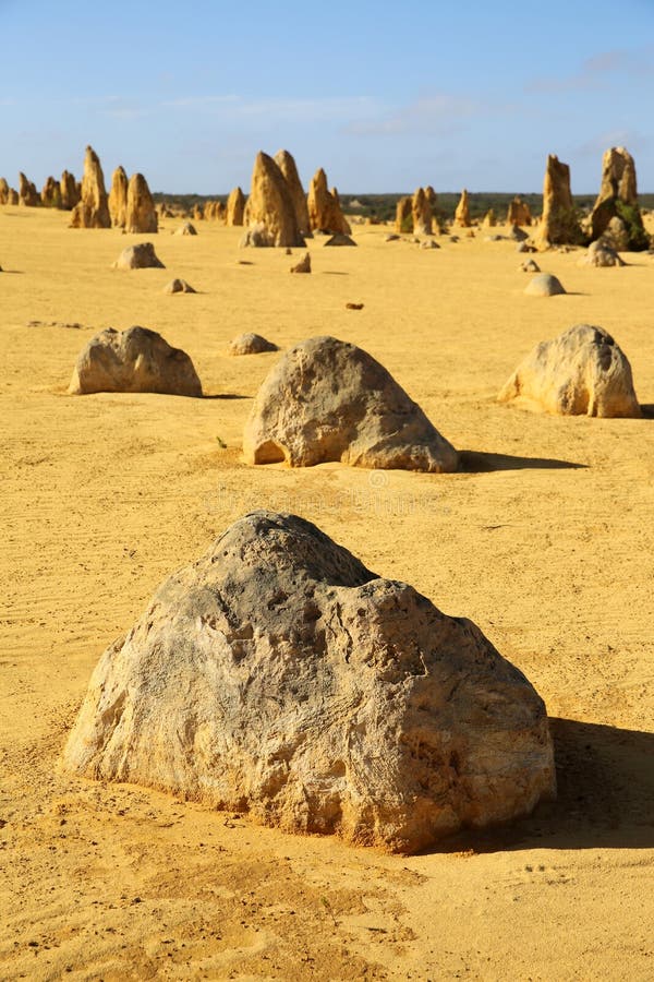 Pinnacles Desert stock photo. Image of erosion, landscape - 36876816