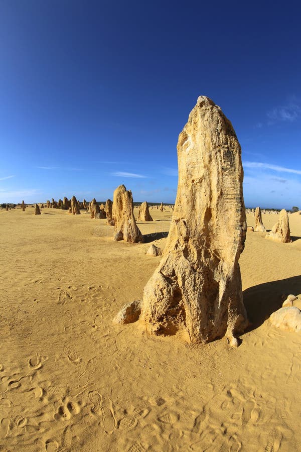 Pinnacles Desert stock photo. Image of erosion, landscape - 36876816