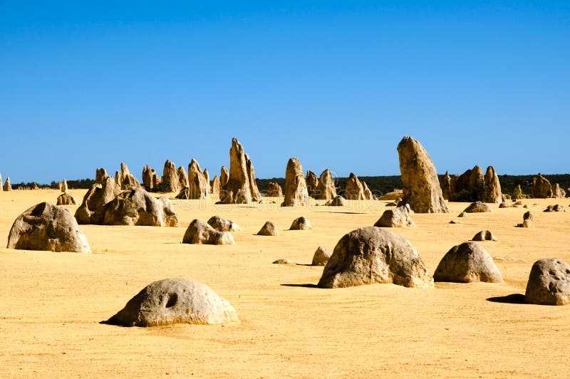The Pinnacles - Australia stock photo. Image of erect - 90529174
